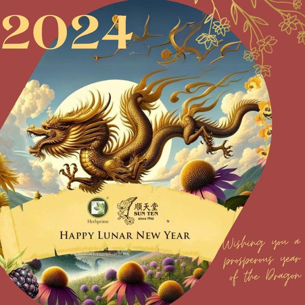 How to Celebrate Lunar New Year 2024-Year of Dragon: Food and Traditio ...